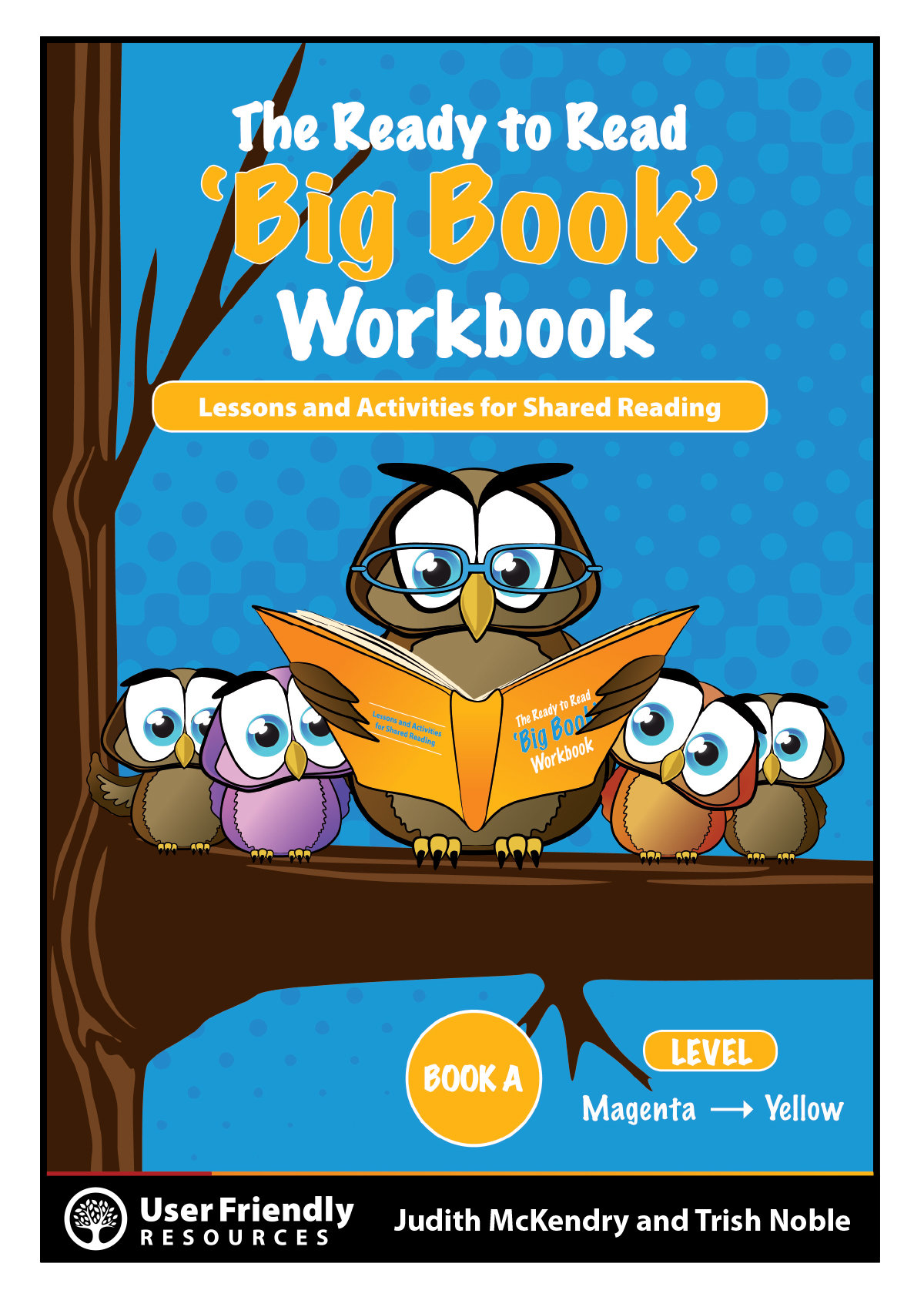 The Ready to Read 'Big Book' Workbook - 2 Book Series - User Friendly ...